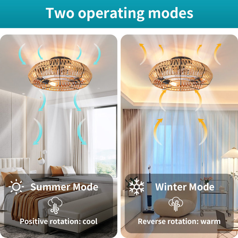 Bay Isle Home Mattawan 19.6"- 4 Light 7 Blade Caged Ceiling Fan with Remote Control and Light ...